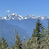Mount Walker, Washington - 2,120 Reviews, Map | AllTrails