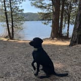 Sage Hen Reservoir Trail, Idaho - 55 Reviews, Map | AllTrails