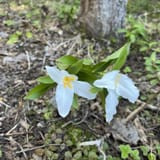 Sage Hen Reservoir Trail, Idaho - 55 Reviews, Map | AllTrails