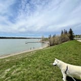Glenmore Reservoir Loop, Alberta, Canada - 2,606 Reviews, Map | AllTrails