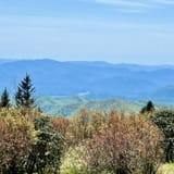 Andrews Bald Trail, North Carolina - 2,414 Reviews, Map | AllTrails