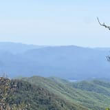 Andrews Bald Trail, North Carolina - 2,436 Reviews, Map | AllTrails
