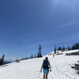 Chilco Mountain Trail, Idaho - 681 Reviews, Map | AllTrails