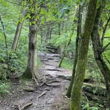 Blowing Springs Park Extended Loop, Arkansas - 1,697 Reviews, Map ...