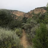 Forrestal Preserve Loop, California - 1,184 Reviews, Map | AllTrails