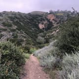 Forrestal Preserve Loop, California - 1,184 Reviews, Map | AllTrails