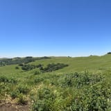 Timberhill Park Trail, California - 228 Reviews, Map | AllTrails