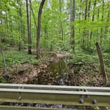 Daniel’s Run Park Loop, Virginia - 388 Reviews, Map | AllTrails