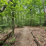 Daniel’s Run Park Loop, Virginia - 388 Reviews, Map | AllTrails