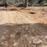 Observation Point via Stave Spring Trailhead, Utah - 485 Reviews, Map ...