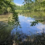 Henderson Park Loop, Georgia - 1,805 Reviews, Map | AllTrails