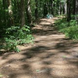 Henderson Park Loop, Georgia - 1,805 Reviews, Map | AllTrails