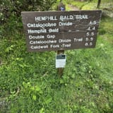 Hemphill Bald Trail, North Carolina - 352 Reviews, Map | AllTrails