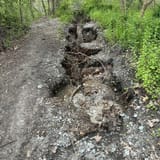 Southern New England Trunkline Trail, Massachusetts - 440 Reviews, Map ...