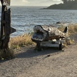 Albany Bulb, California - 393 Reviews, Map | AllTrails