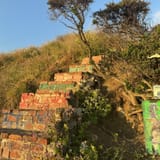 Albany Bulb, California - 393 Reviews, Map | AllTrails