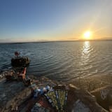 Albany Bulb, California - 393 Reviews, Map | AllTrails