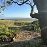 Albany Bulb, California - 363 Reviews, Map | AllTrails