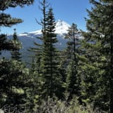 Dog River Trail, Oregon - 252 Reviews, Map | AllTrails