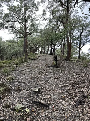 Best Cave Trails in Bungonia | AllTrails
