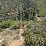 Stoddard Peak, California - 2,182 Reviews, Map | AllTrails