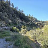 Stoddard Peak, California - 2,210 Reviews, Map | AllTrails
