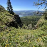 Coyote Wall Loop Trail, Washington - 2,843 Reviews, Map | AllTrails