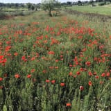 Palo Maria Waterfall, Jalisco, Mexico - 455 Reviews, Map | AllTrails