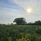 Itchenor Circular, West Sussex, England - 247 Reviews, Map | AllTrails