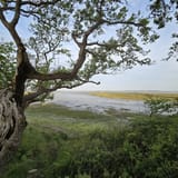 Itchenor Circular, West Sussex, England - 247 Reviews, Map | AllTrails