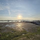 Itchenor Circular, West Sussex, England - 247 Reviews, Map | AllTrails