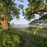 Itchenor Circular, West Sussex, England - 247 Reviews, Map | AllTrails