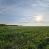 Itchenor Circular, West Sussex, England - 247 Reviews, Map | AllTrails