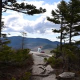 Welch-Dickey Loop Trail, New Hampshire - 7,098 Reviews, Map | AllTrails