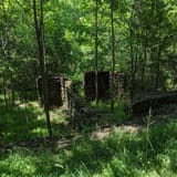 Peter's Creek Heritage Trail, South Carolina - 359 Reviews, Map | AllTrails