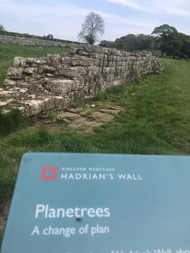 Best Walking Trails in Corbridge | AllTrails