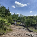 Devil's Honeycomb Trail , Missouri - 782 Reviews, Map | AllTrails