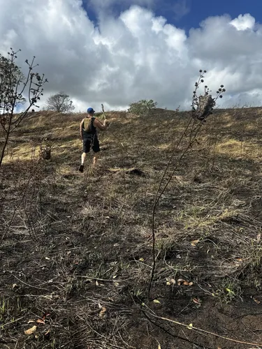 Best Hikes and Trails in Santa Rita | AllTrails