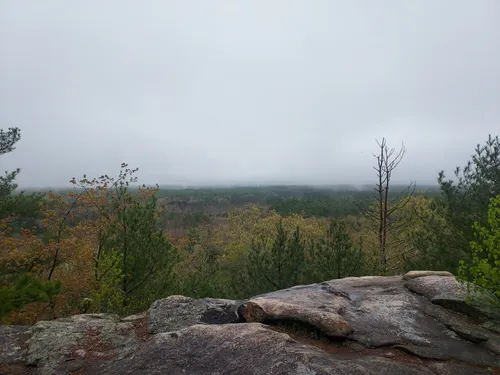 Best Short Trails in Pachaug State Forest | AllTrails