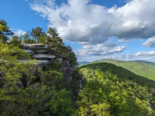 Best Views Trails in Wardensville Wildlife Management Area | AllTrails