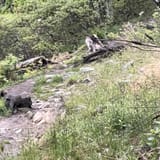 Mount Tammany via Red Dot and Blue Dot Loop Trail, New Jersey - 13,268 ...