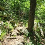 Keystone Ancient Forest Falls Trail, Oklahoma - 800 Reviews, Map ...