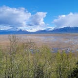 Scout Ridge Trail, Alaska - 280 Reviews, Map | AllTrails