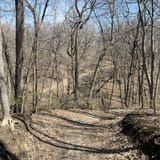 Martell Forest Loop, Indiana - 574 Reviews, Map | AllTrails