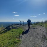 Buffalo Mountain Trail, Virginia - 736 Reviews, Map | AllTrails