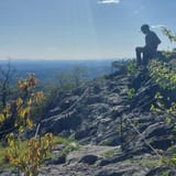Buffalo Mountain Trail, Virginia - 736 Reviews, Map | AllTrails