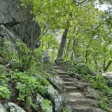 Sharp Top Trail, Virginia - 2,843 Reviews, Map | AllTrails