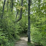 Sharp Top Trail, Virginia - 2,843 Reviews, Map | AllTrails