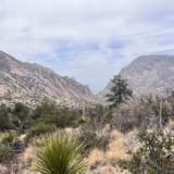 Basin Loop Trail, Texas - 1,154 Reviews, Map | AllTrails