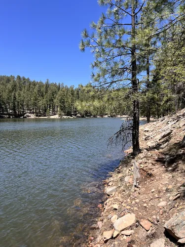 Best Fishing Trails in Payson | AllTrails